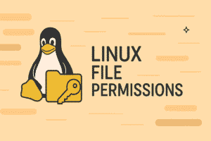 Linux File Permissions Cheat Sheet - Techxedo